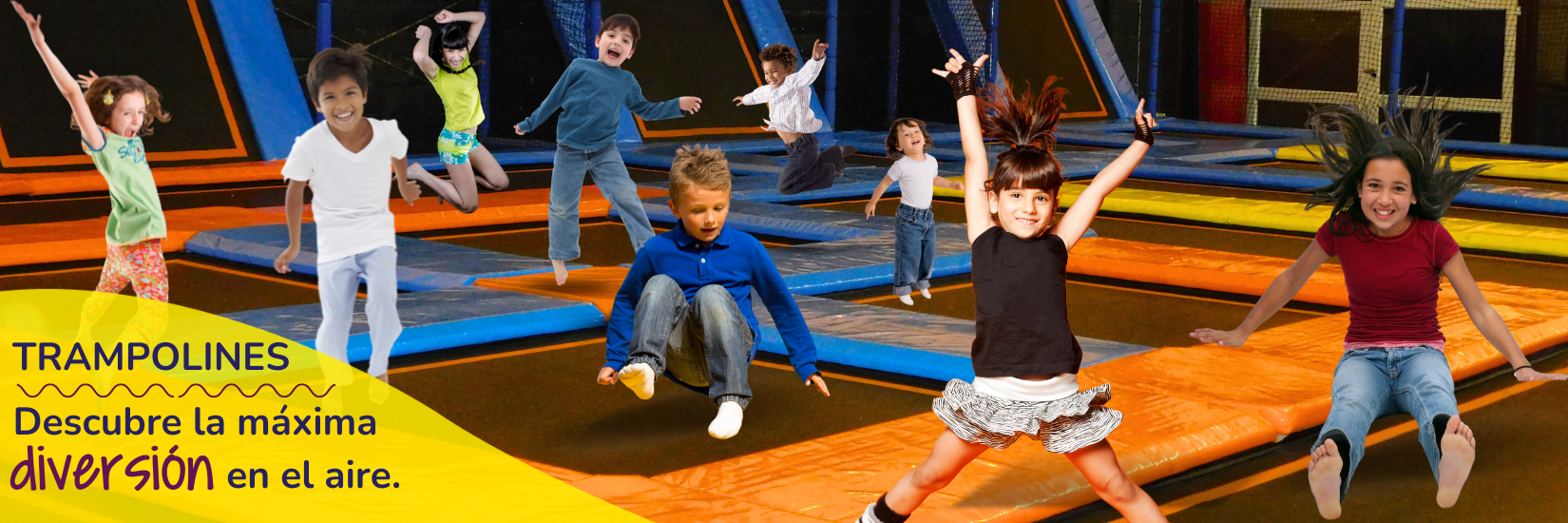 Inicio - Multiparque